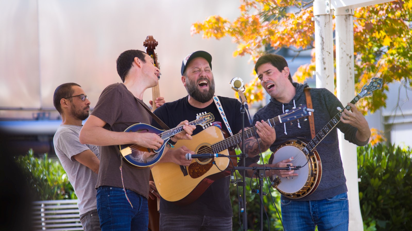 Midi en musique - programmation 2025 - HUG